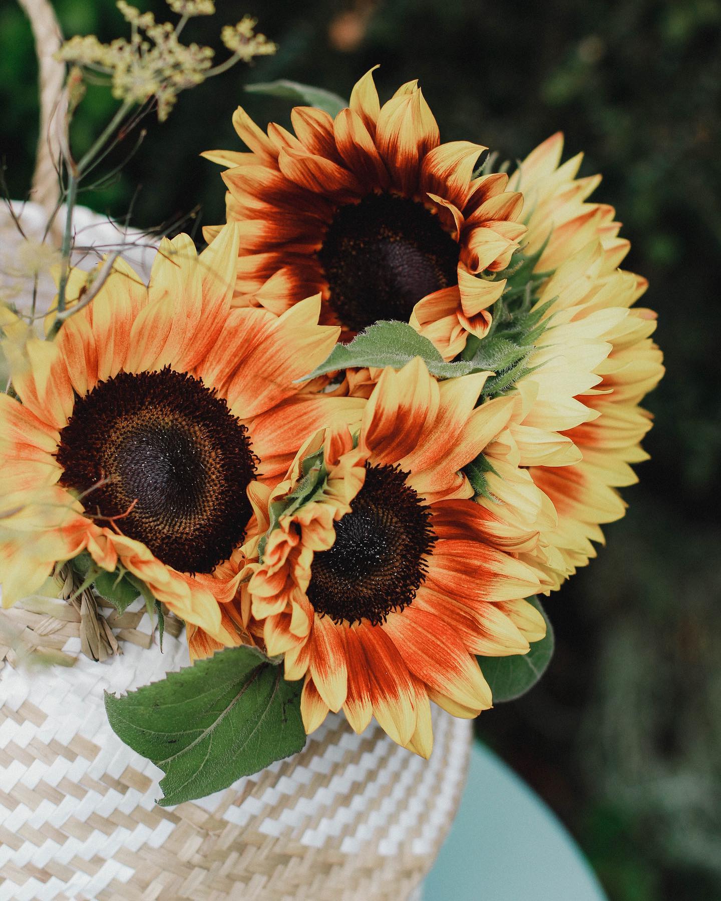 Home | SUSAN TOMLINSON